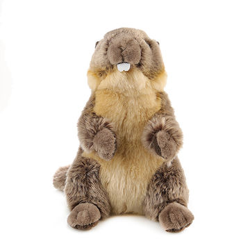 Buy Wholesale China Icti Certified Customized Gopher Toy Factory Pp ...