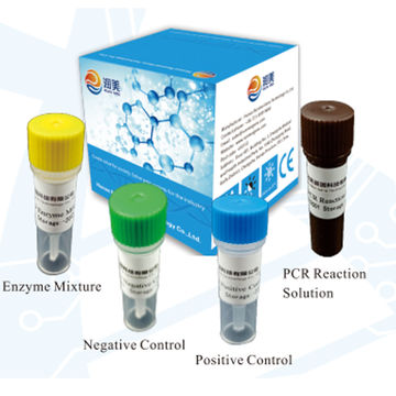 China Ce Approved Sansure Real Time PCR Rapid Test Kit Nucleic Acid ...