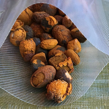 Netherlands Gallstones 80/20 Cow ox cattle Gallstones for sale on ...