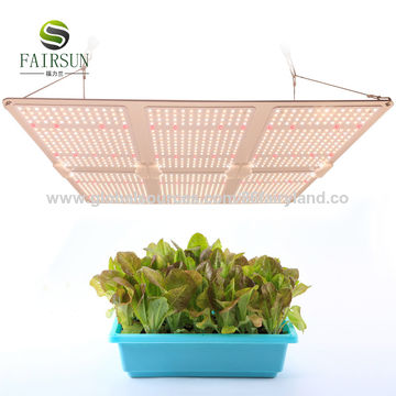 Buy Wholesale China Led Plant Fill Light Plant Lighting Quantum Board ...