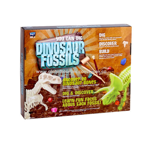 China Dinosaur Fossil Dig Excavation Kit,Education Dinosaur DIY Dig up ...