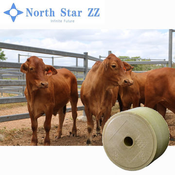 Buy Wholesale China Northstar Scientific Breeding Propagate Lick Block ...
