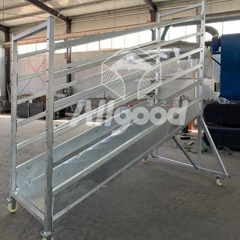 Allgood Adjustable Livestock Equipment Sheep Loading Ramps Sheepyard ...