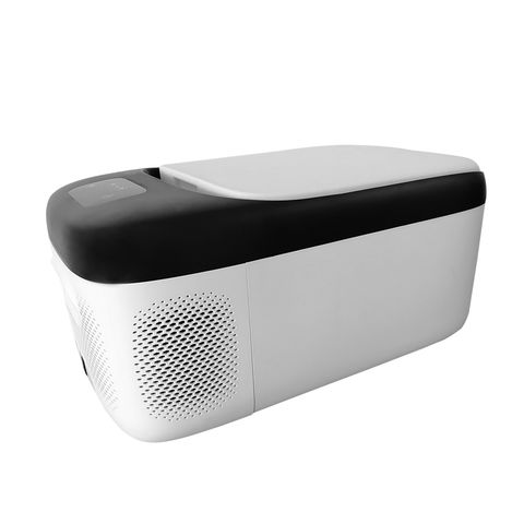 Buy Wholesale China New Design 18l Portable Freeze Box Mini Car ...