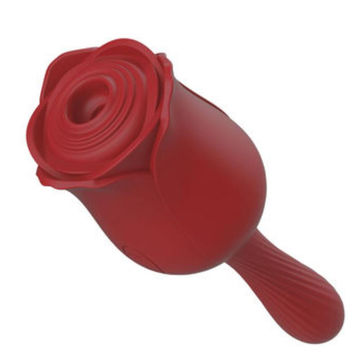 China 10 Speeds Powerful Rose Massage Rechargeable Massager Pain Relief ...