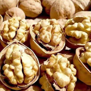 China China raw walnut kernel walnut price buyers ,walnuts kernels ...