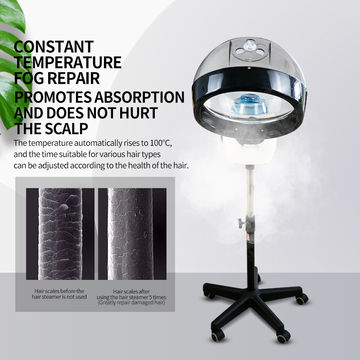 Beauty Salon Professional Nano Micro Mist Hair Steamer for Natural Hair ...
