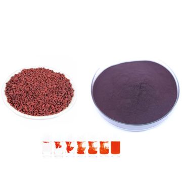 Buy Wholesale United States Monascus Pigment Extracted From Red Yeast ...
