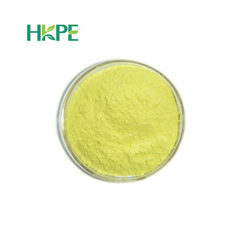 China 98% Kaempferol Powder Plant Extract on Global Sources,Kaempferol ...