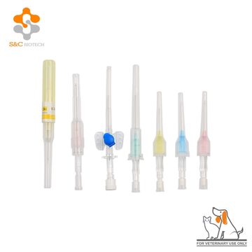 China Pet use sterilized Disposable IV cannula veterinary hospital on ...