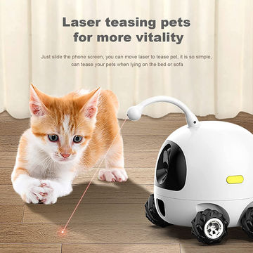 Buy Wholesale China Automatic Pet Feeders ,smart Companion Robot For ...