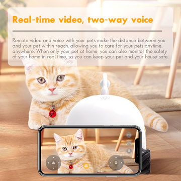 Buy Wholesale China Automatic Smart Companion Robot Pet Feeder With ...