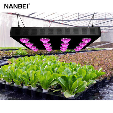 China Greenhouse Hydroponic Plant Growth Lamp Indoor Grow Lamp on ...