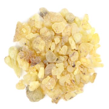 Buy Wholesale India Boswellia Serrata/ Frankincense & Frankincense ...