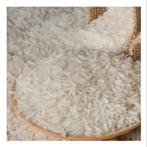 Buy Wholesale Thailand Japonica Round Rice & Japonica Round Rice at USD ...