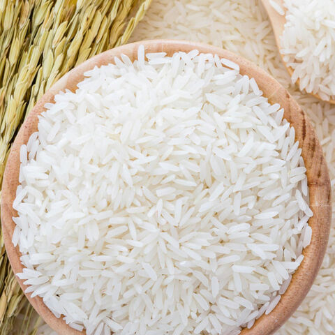 Buy Wholesale Thailand Japonica Round Rice In Bulk & Japonica Round ...