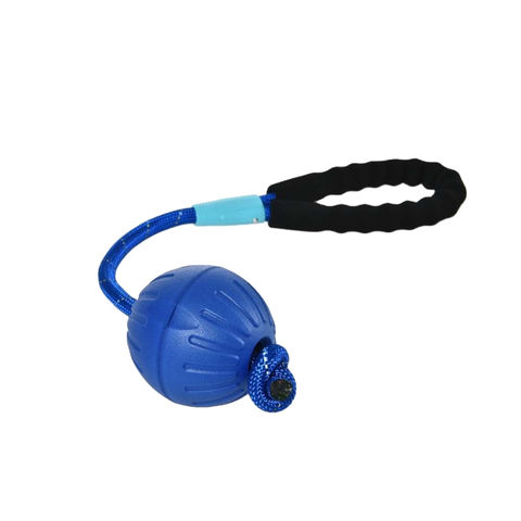 Buy Wholesale China Tpr Dog Toy,summer Floating Soft Handle Durable Tpr ...