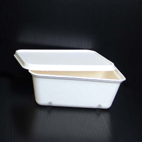 Biodegradable Containers,sugarcane Material,different Size Choose ...