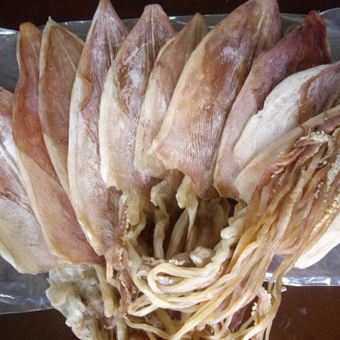 Canada High Quality Dry Cuttle Fish Bone Dried Washed Fish Bone on ...