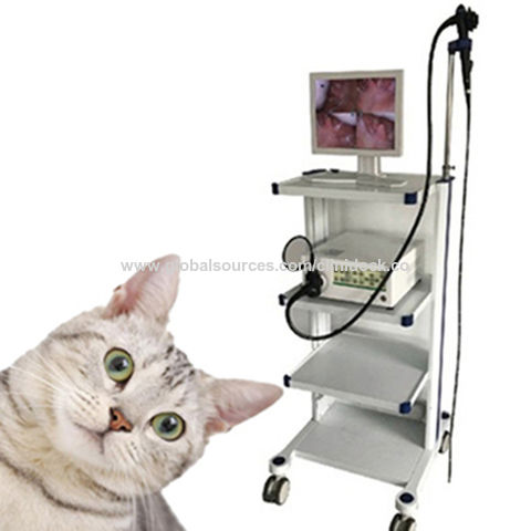 Medical animal Veterinary flexible rigid endoscopy tower Vet Video ...