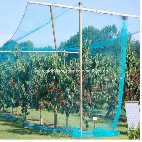 China Bird Nets Birds Net Net Hdpe Bird Nets For Catching Birds on ...