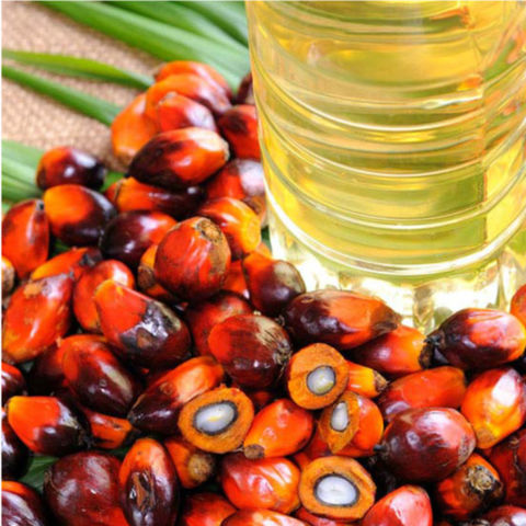 Buy Wholesale Thailand 2021 Rbd Palm Olein Cp8 Cp10 Best Quality For ...