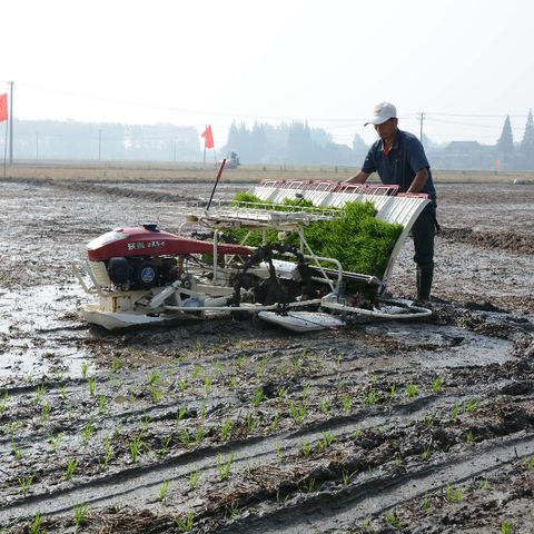 Transplanters, Hand Type Rice Transplanter, Gasoline 4.5/5HP, 6 Rows ...