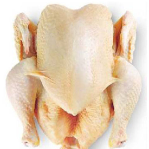 Buy Wholesale Thailand Frozen Whole Chicken / Frozen Chicken For Export ...