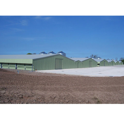 China Profiled steel sheeting steel portal frame poultry building on ...