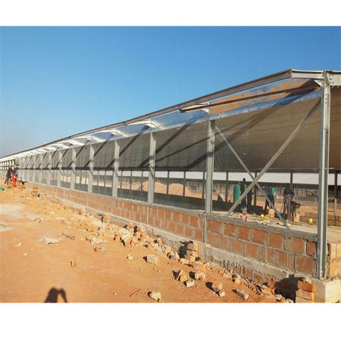 China Steel manure post frame building broiler chicken barn on Global ...