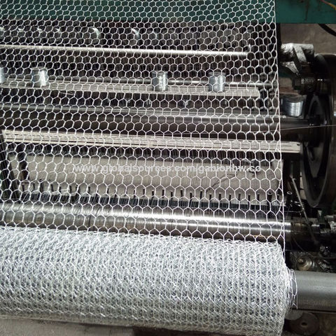 China Chicken mesh Hot dipped gal chicken wire mesh for poultry on ...