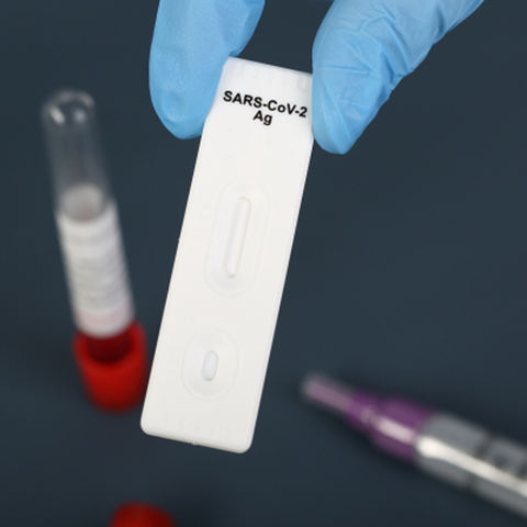 Buy Wholesale China Antigen Detection Kit Ivd Fast Rapid Test Kit Ce ...