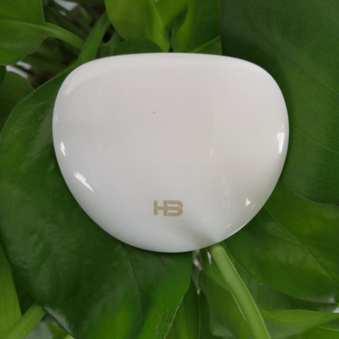 China Home use holter ecg bluetooth ecg 24 hour holter monitor wireless ...