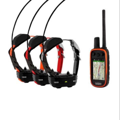 G-garmin Alpha 100 Tt15 Combo 3-dogs Gps Collars - United States ...
