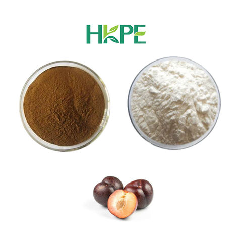 China 5: 1~20: 1 Fruit Powder Plum Extract on Global Sources,Plum Extract