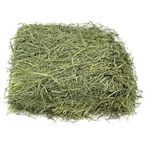 Buy Wholesale Belgium Animal Feed Timothy Or Alfalfa Hay For Sale ...