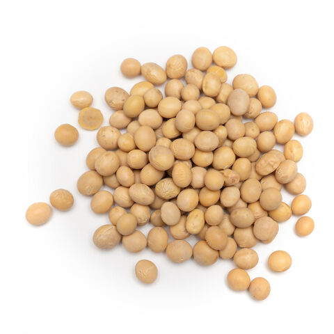 Soybean Meal For Horses