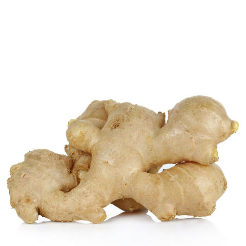 Buy Wholesale Canada Wholesale High Quality Premium Fresh Yellow Ginger ...