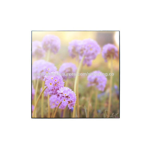 China 33.2 inch Square IPS TFT LCD display, 1920X1920 Resolution, 1:1 ...