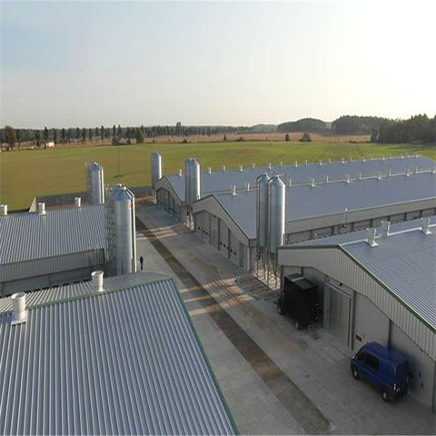 China Chicken poultry farm structures design / chicken shed poultry ...