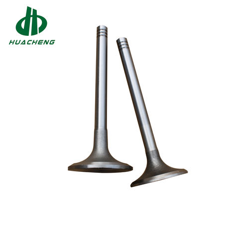 China BFM1013 intake & Exhaust valve Engine Valve 04204015/04255255 ...