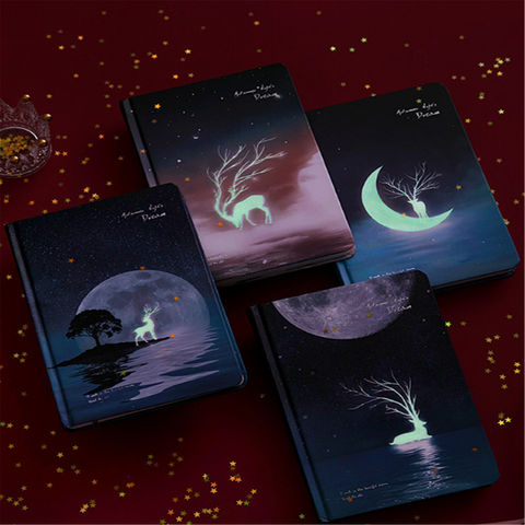China Luminous journal notebook sutdent kawaii hardcover picture ...