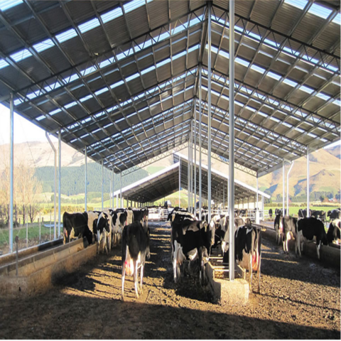 Buy Wholesale China Easy install prefabricated cattle farming barn cow ...