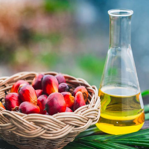 Buy Wholesale United States Cold/hot Pressing Palm Oil Mill Machine ...