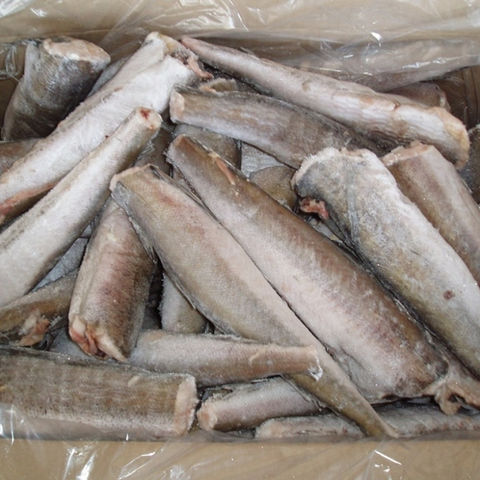 Buy Wholesale United Kingdom Frozen Hake Fish & Frozen Hake Fish at USD ...