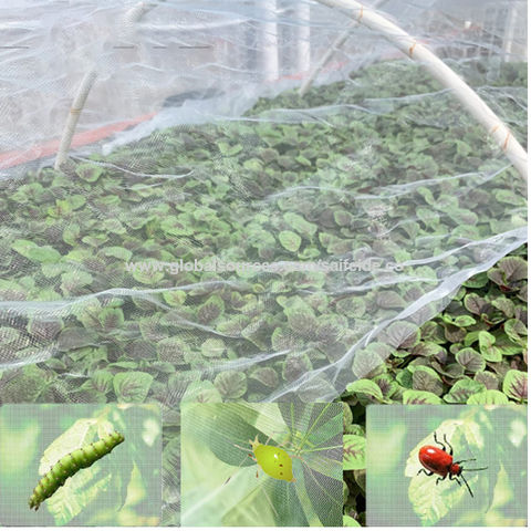 China Plastic Mesh Agricultural Greenhouse Anti Aphid White Fly Insect ...