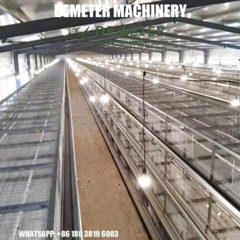 Buy China Wholesale Brooding Cages For Chicks Chicken Cage Africa ...