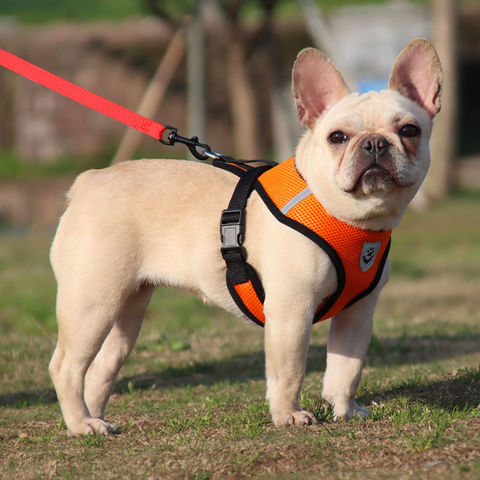 Buy Wholesale China 2021 New Pet Chest Harness Traction Rope Small Dog ...