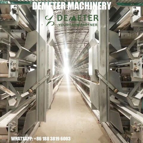 Automatic Layer Poultry Farm Equipment Layer Farming Battery Cage $3 ...