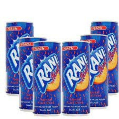 Buy Wholesale United Kingdom Rani Float Drink Juice 240 Ml - Pack Of 24 ...